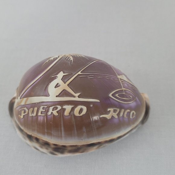 Accents | Vintage Hand Carved Spotted Cowrie Shell Puerto Rico Beach ...